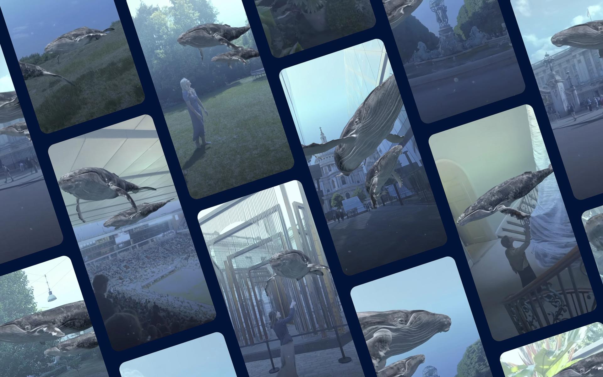 Walk With Whales – Unseen Studio®